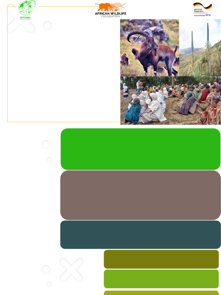 AWF Presentation - NSC Meeting - 1012024-1 | PDF | Natural Environment