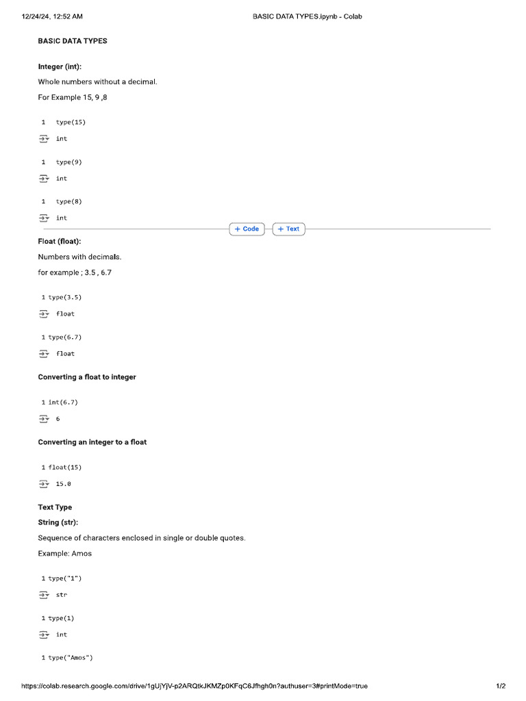 Basic Data Types | PDF