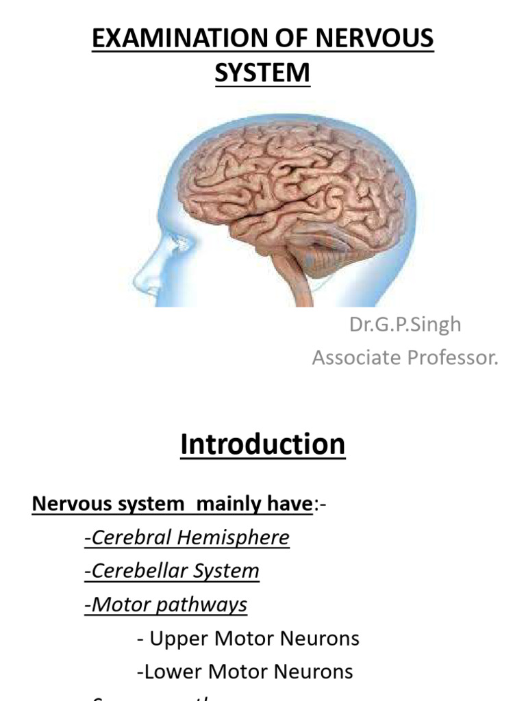 Examination of Nervous System | PDF | Spinal Cord | Anatomical Terms Of ...