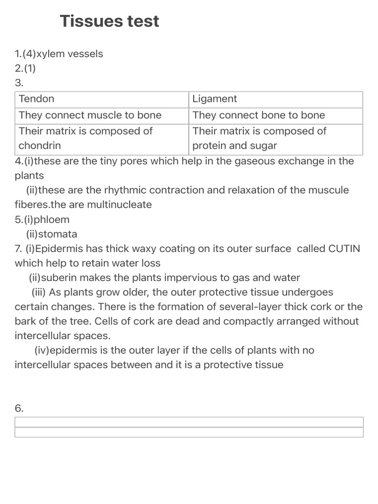 Tissues Test | PDF