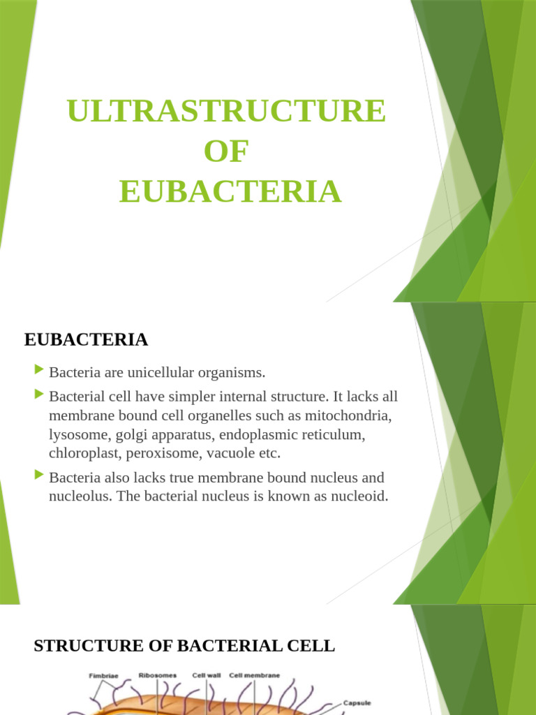 Ultrastructure of Eubacteria, Cyanobacteria, Mycoplasma | PDF | Cell ...