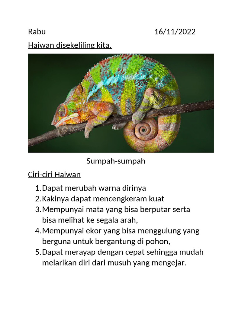Haiwan Di Sekeliling | PDF