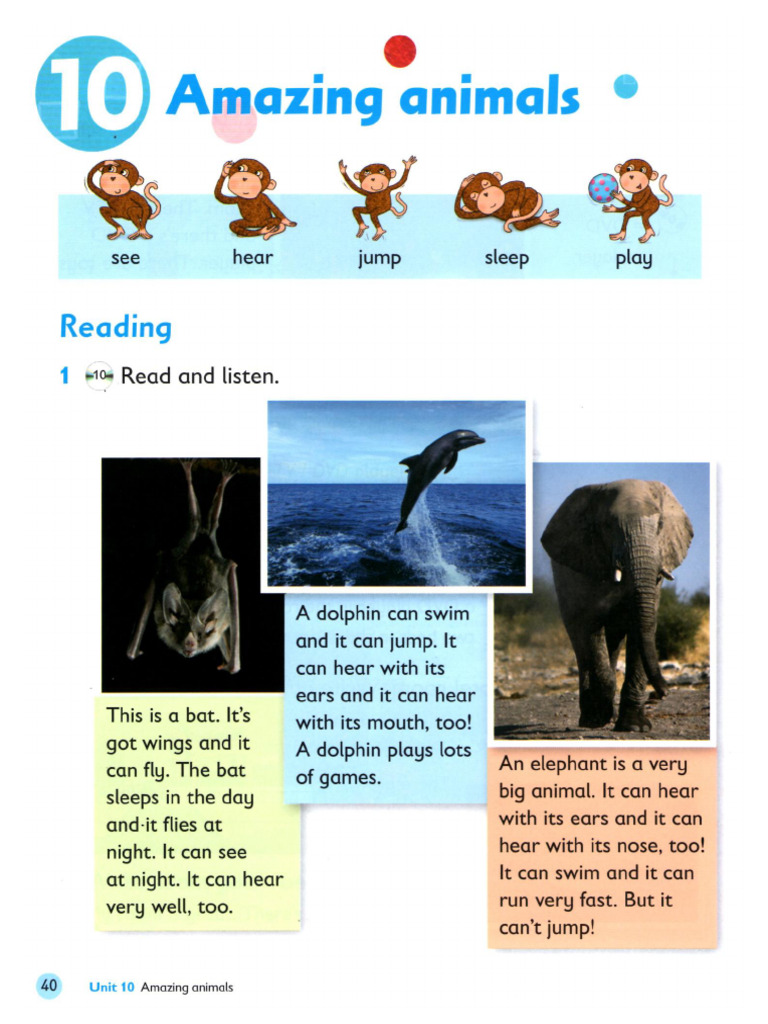 Amazing Animals | PDF