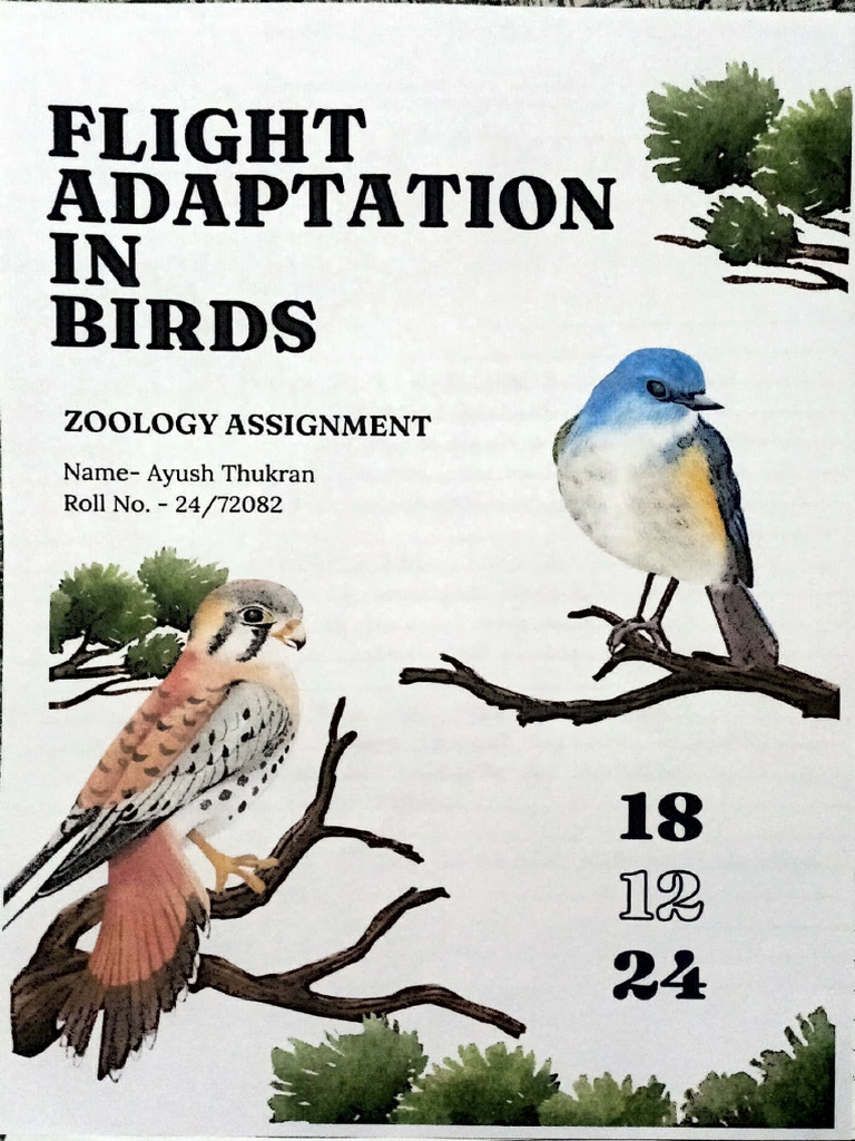 zoology assignment by Ayush Thukran | PDF | Birds | Zoology
