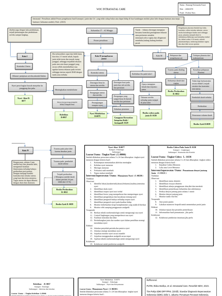 Woc Intranatal Care | PDF