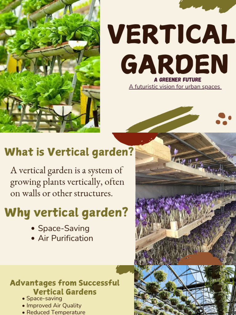 Vertical Garden by Warriors 20241114 213657 0000 | PDF