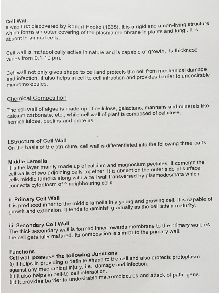 Biology chapter 8 | PDF