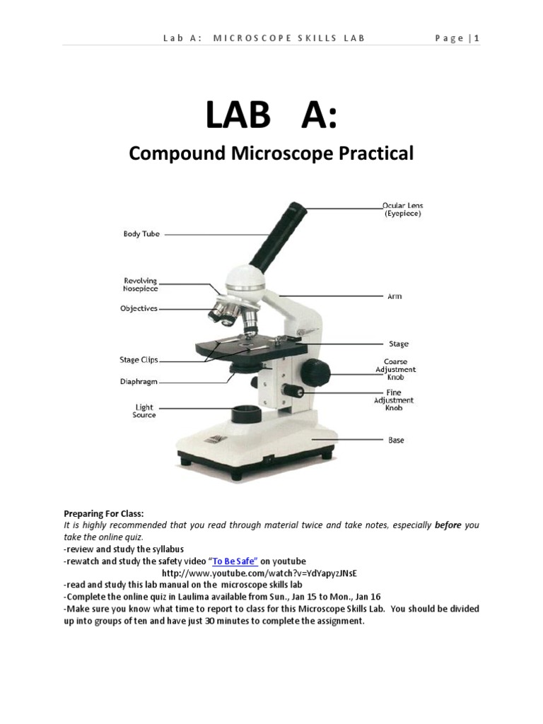 Microscope Skills Manual | Lens (Optics) | Glass Applications