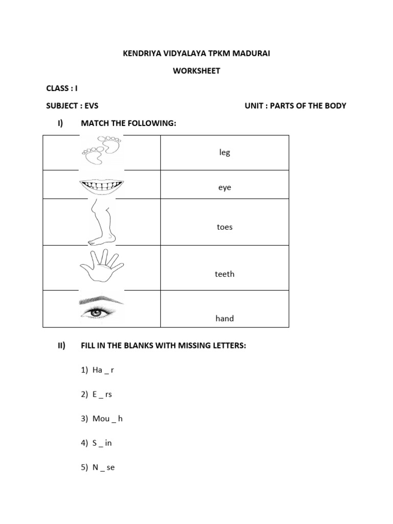 Unit 2 Parts of The Body | PDF
