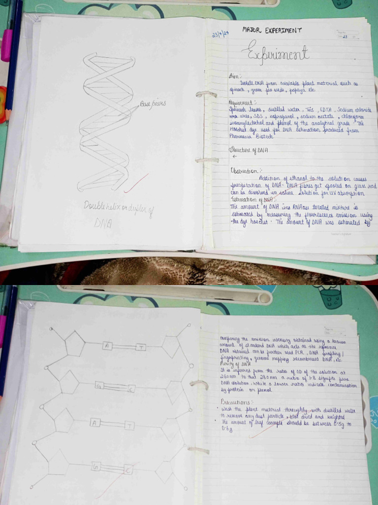Bio-Practical Work | PDF