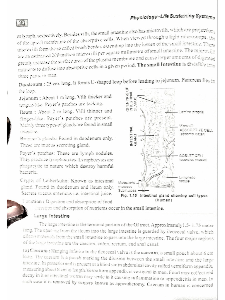 Note On Mixing and Propulsion | PDF