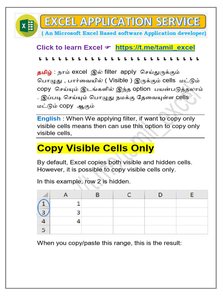 Copy Visible Cells in Excel Guide | PDF