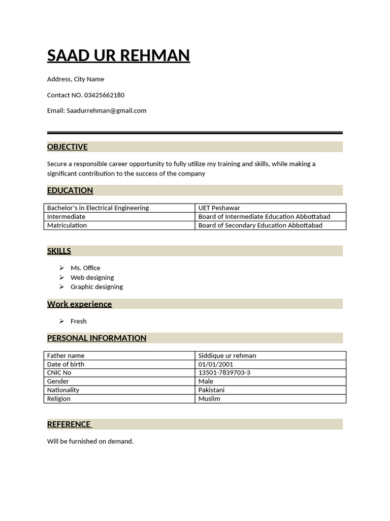 RAYYAN AKHTAR CV Task | PDF