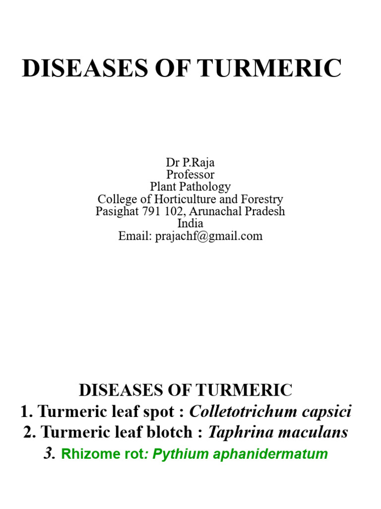 18 Turmeric | PDF | Turmeric | Plants