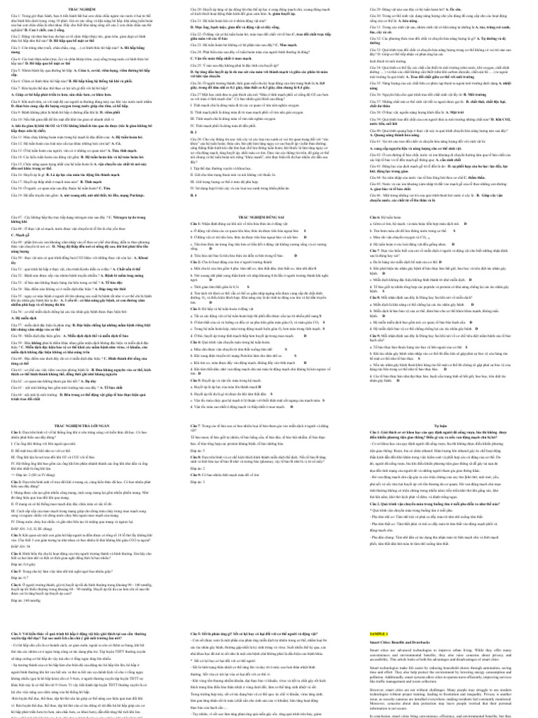 Mini | PDF