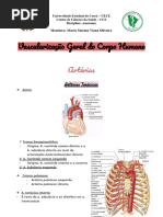 Anatomia do Sistema Venoso Ázigo | PDF | Fígado | Abdômen