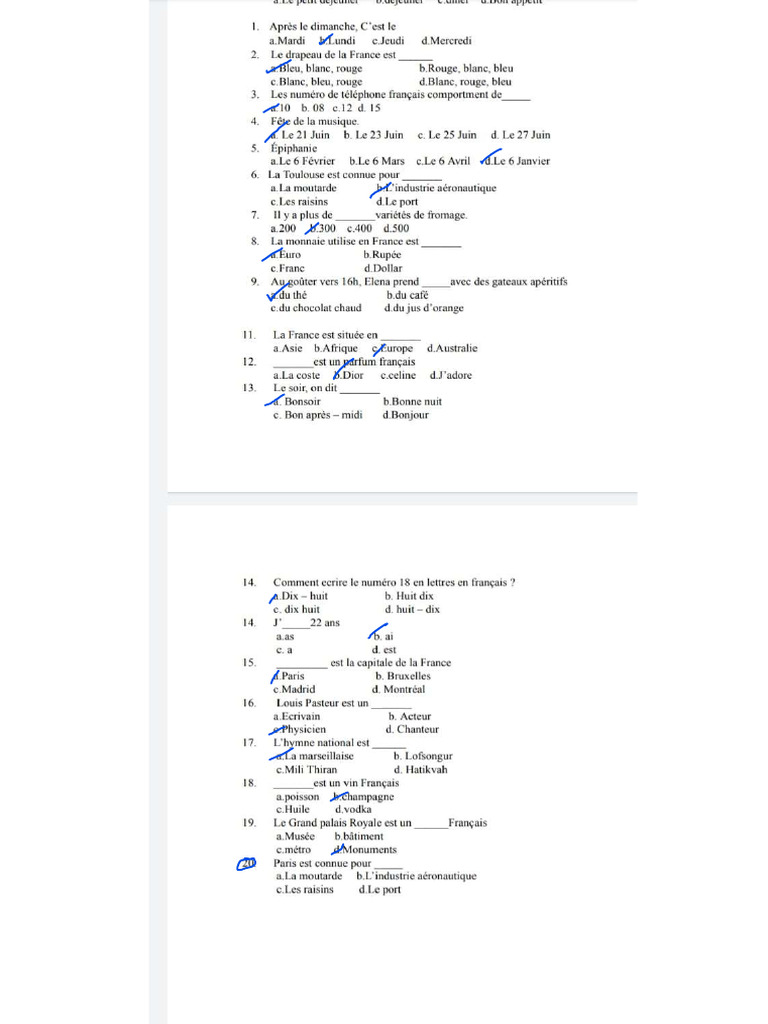 French Worksheet Sem 1 SRM | PDF