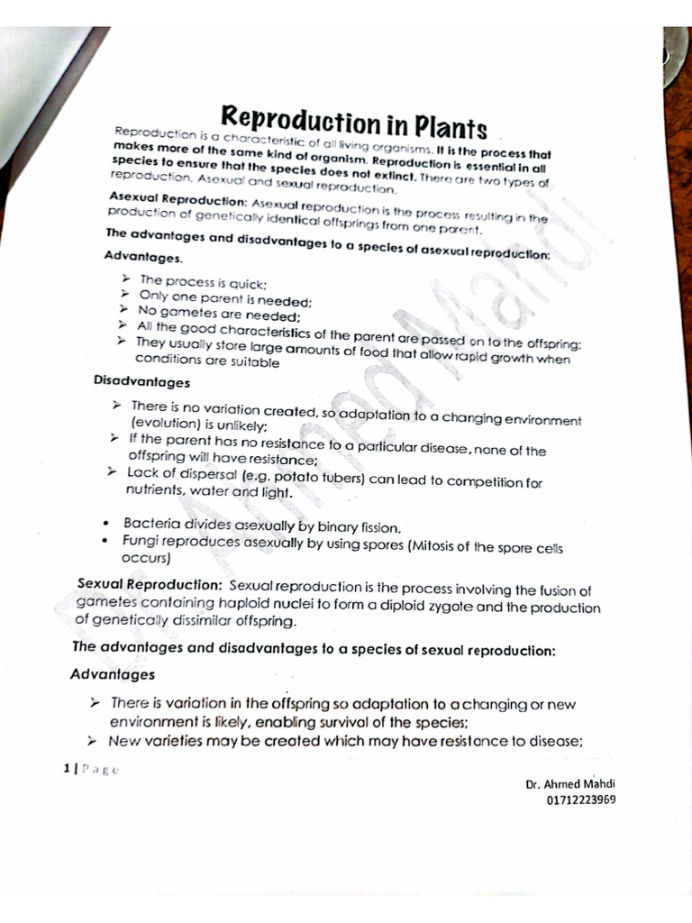 Plant | PDF