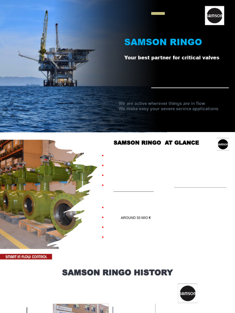 Samson Ringo General 2024 | PDF | Valve | Cryogenics