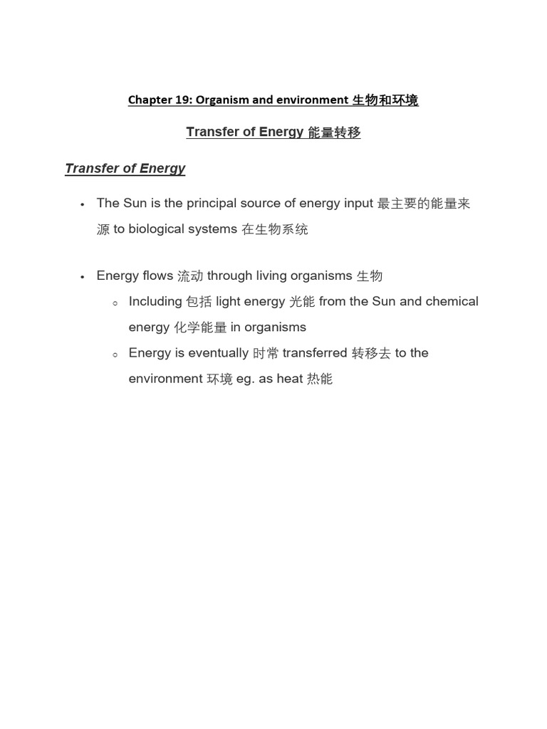 Energy Transfer in Ecosystems | PDF | Food Web | Carbon