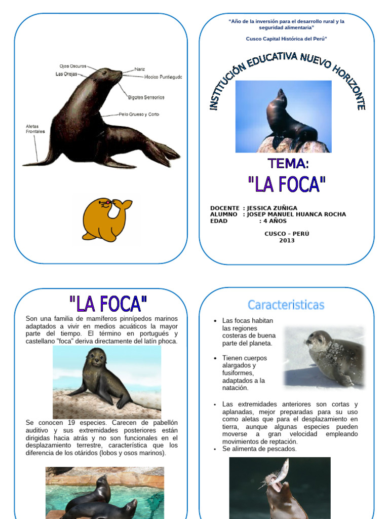 diptico LA FOCA | PDF