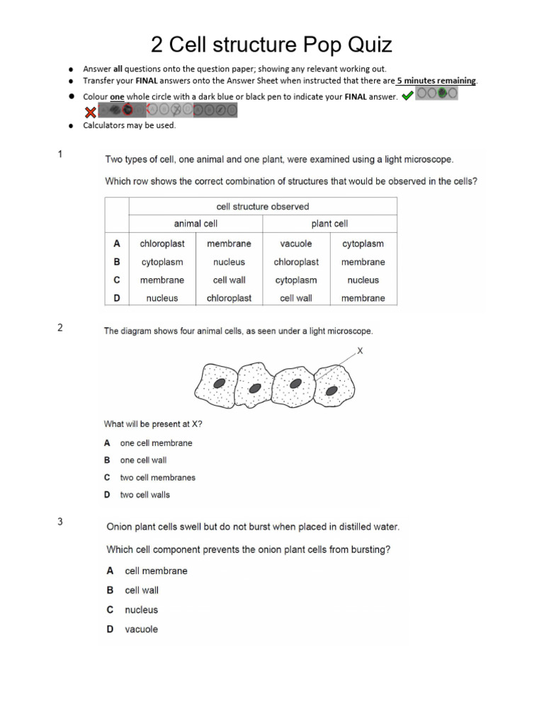 Cell Structure Pop Quiz Guide | PDF