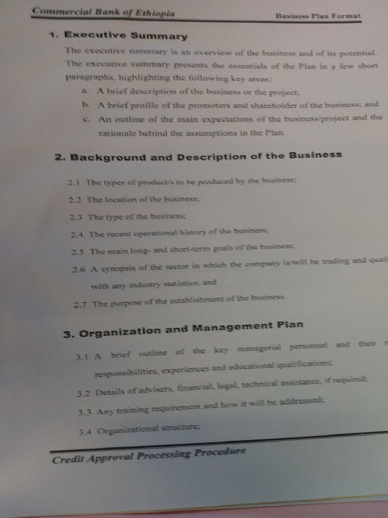 Business Plan Format | PDF