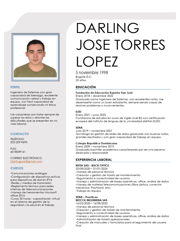 CV Darling Torres | PDF | Telecomunicaciones | Informática
