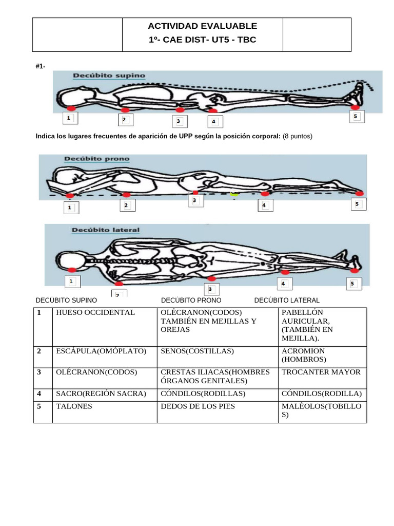 Maite Mendez UT5 | PDF