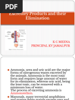 Excretory Products and Their Elimination Class 11 Notes Biology | PDF ...