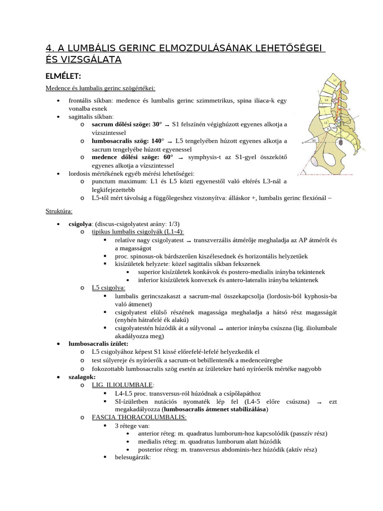 Lumbalis Gerinc | PDF