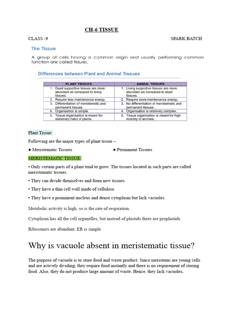 Plant Tissue CLASS-9 SPARK BATCH | PDF | Tissue (Biology) | Stoma