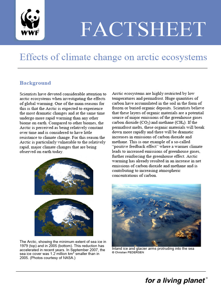 Arctic Ecosystems and Global Warming Effects | PDF | Climate Change ...