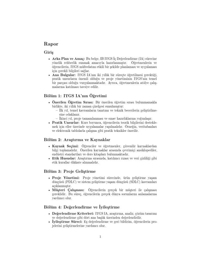 ITGS IA Raporu | PDF