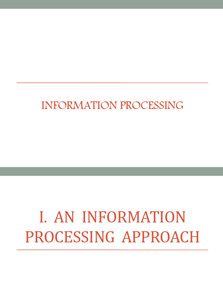 Information Processing | PDF | Memory | Perception