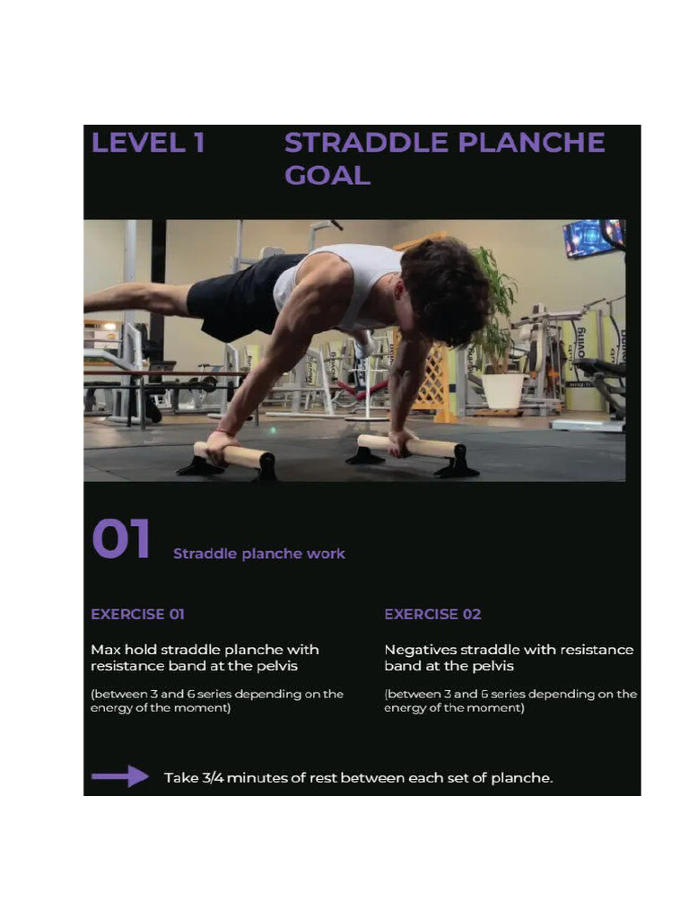 Guide Full Planche - Saian Maestro | PDF