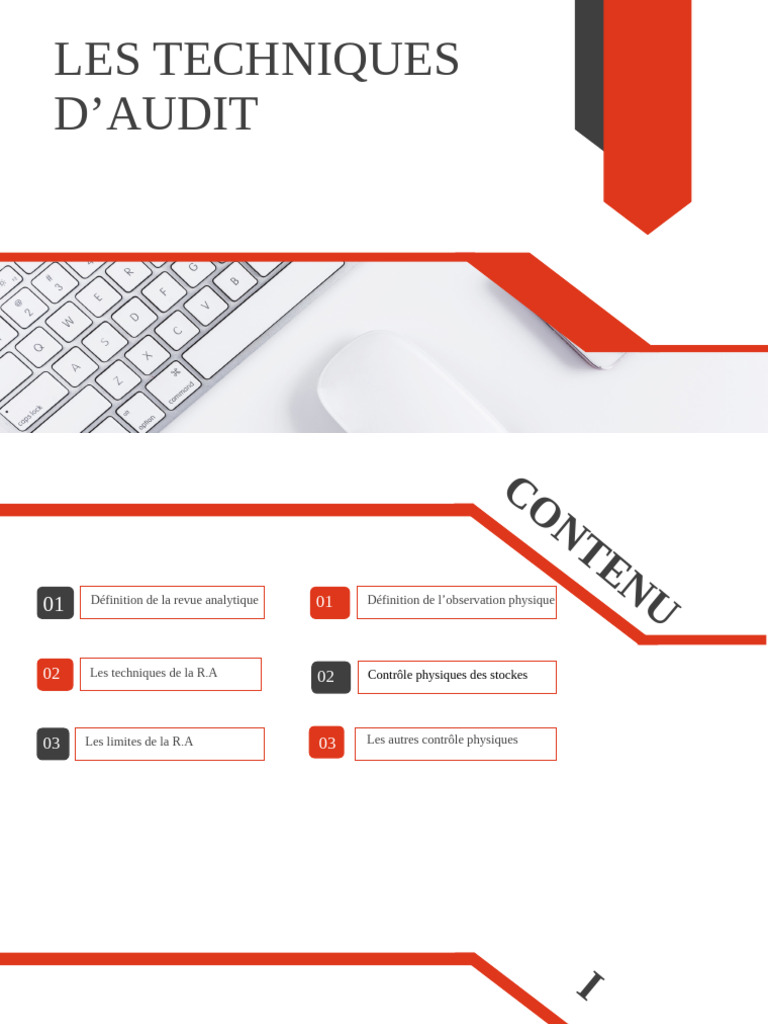 Techniques d'Audit : Revue et Observation | PDF | Audit | Immobilisations