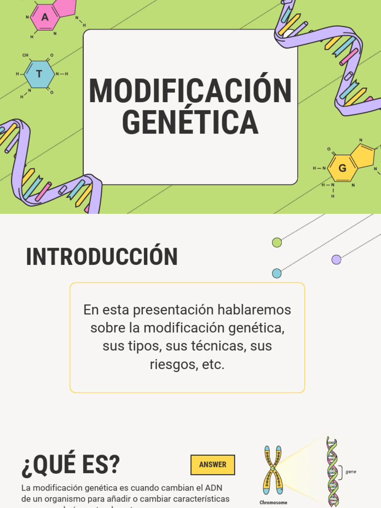 Modificación Genética-1 | PDF