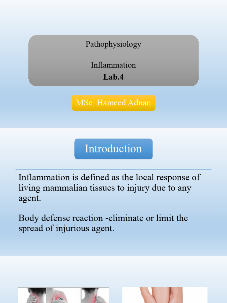 Patho Inflammation.pptx | PDF | Inflammation | Macrophage