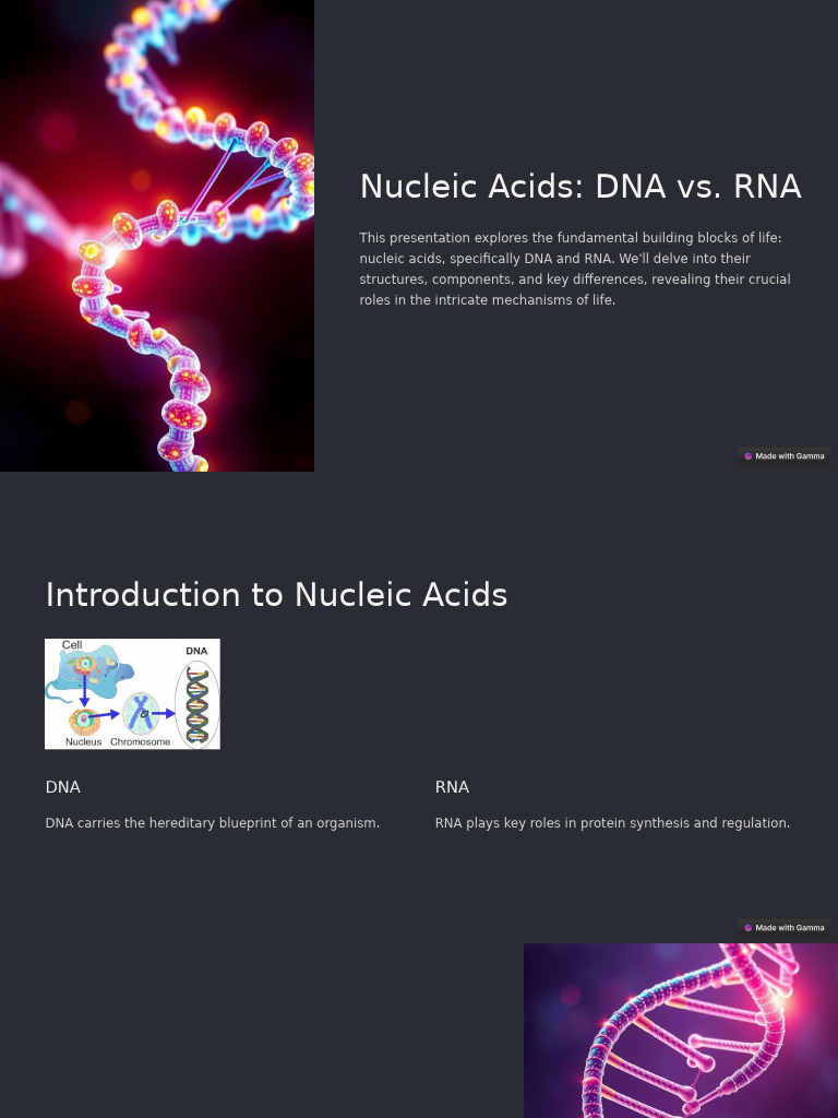 Nucleic Acids DNA Vs RNA | PDF | Nucleic Acids | Base Pair