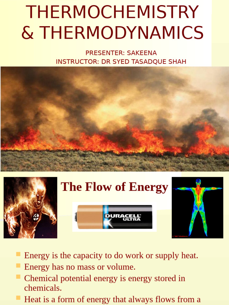 Thermochemistry and Thermodynamics Overview | PDF | Heat | Combustion