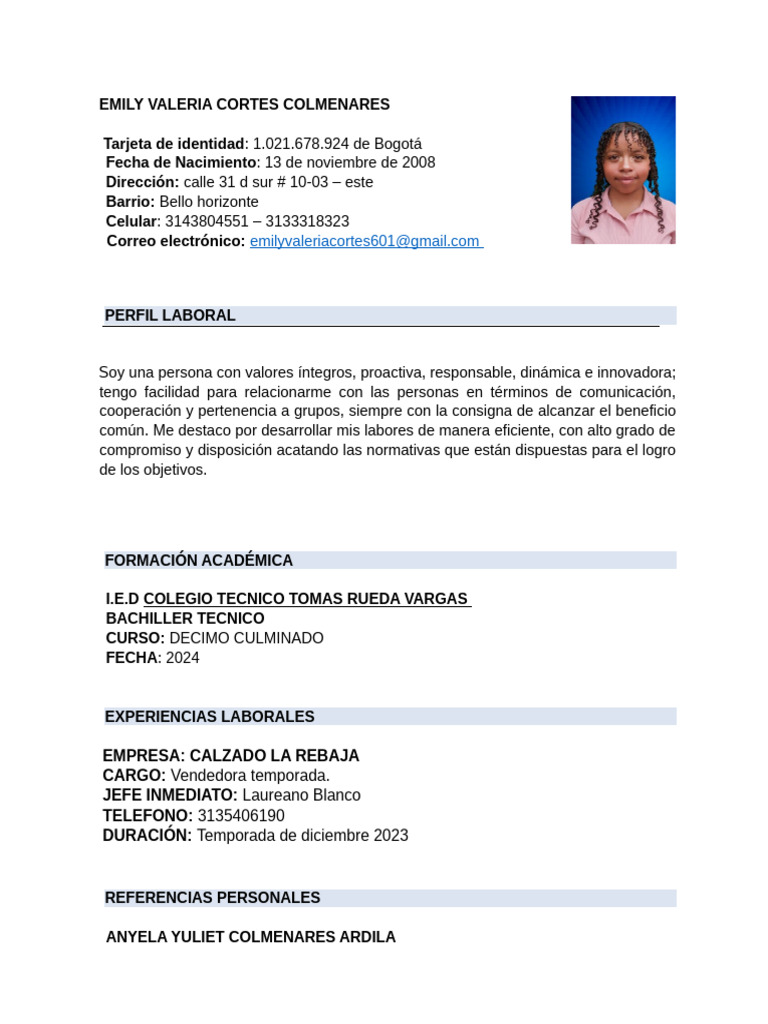 Perfil Laboral de Emily Cortes | PDF