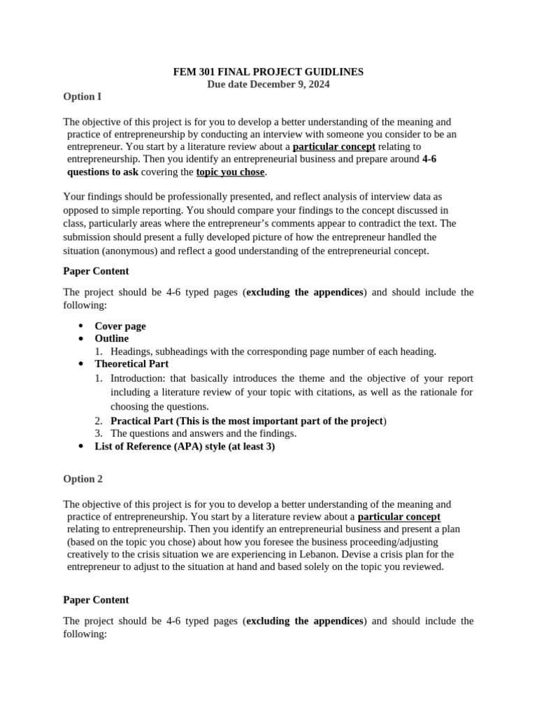 FEM 301 FINAL PROJECT Guidlines | PDF | Entrepreneurship