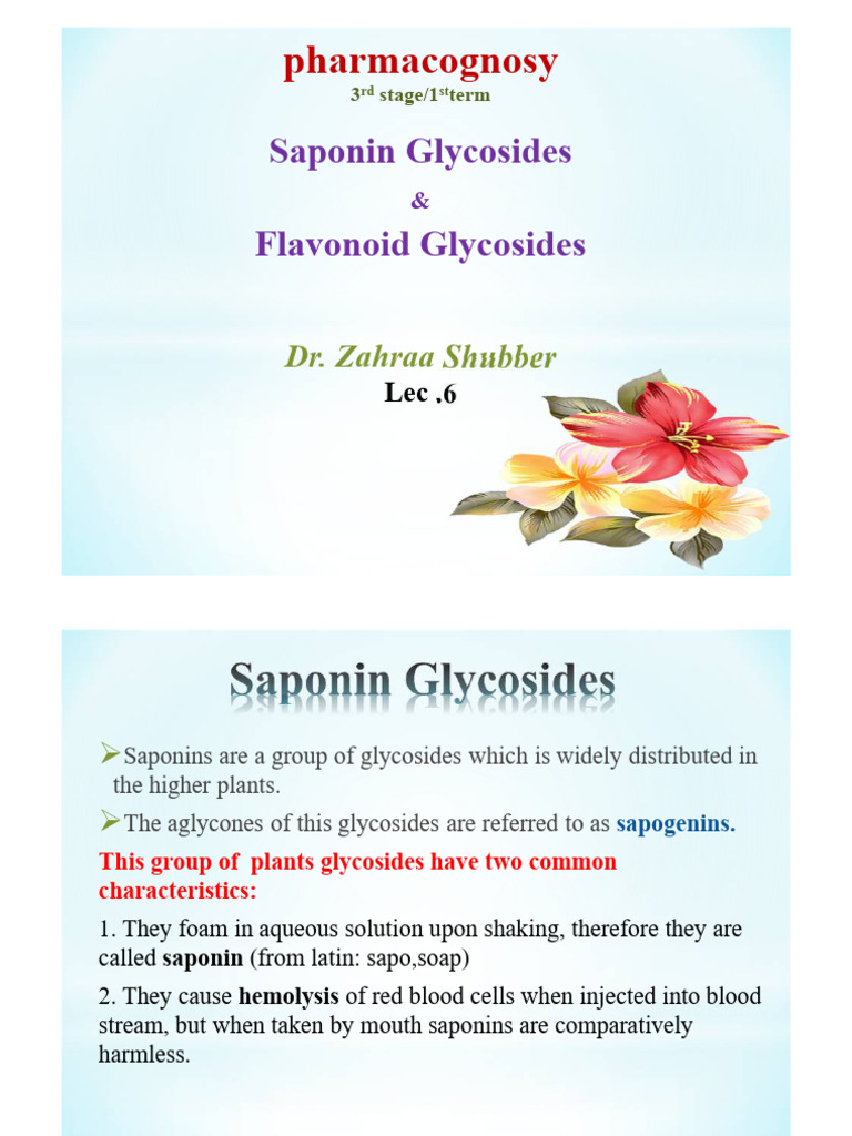 Lec.6 Saponin and Flavonoid Glycosides | PDF | Flavonoid