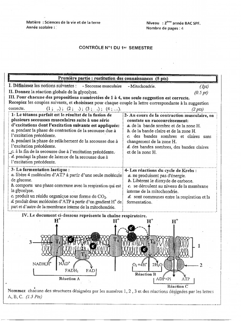 Devoir 1 SVT 2 Bac Spc2 Semestre 1 | PDF