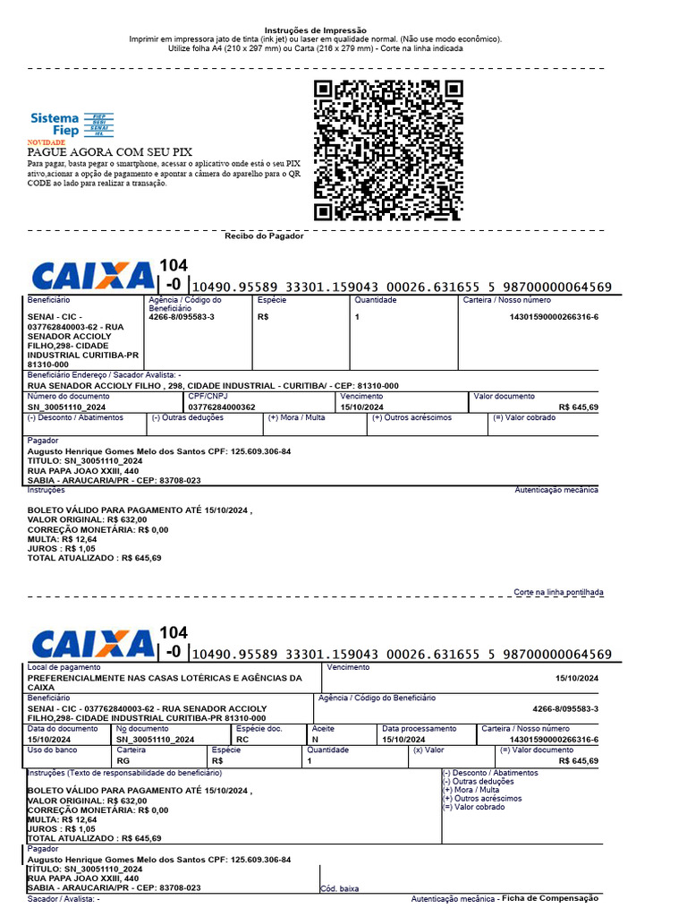 Pague Agora Com Seu Pix | PDF | Impressão