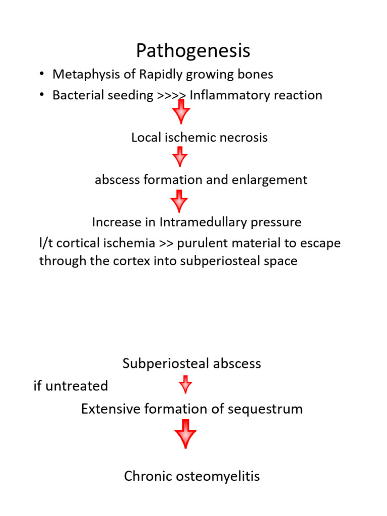Pathogenesis of Osteomyelitis | PDF