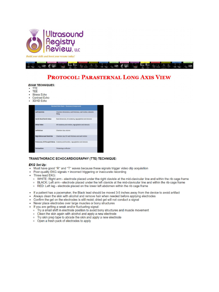 USRR Echo PLAX | PDF