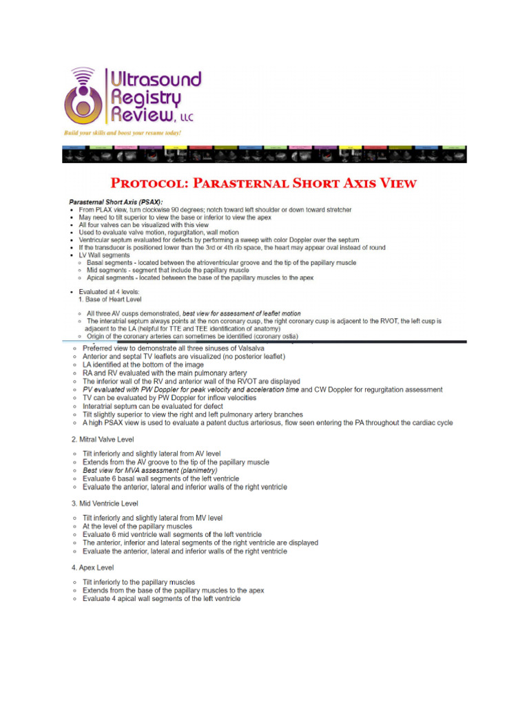 Usrr Echo Psax | PDF