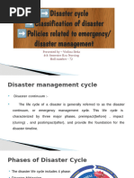 Disaster Management Poster | PDF